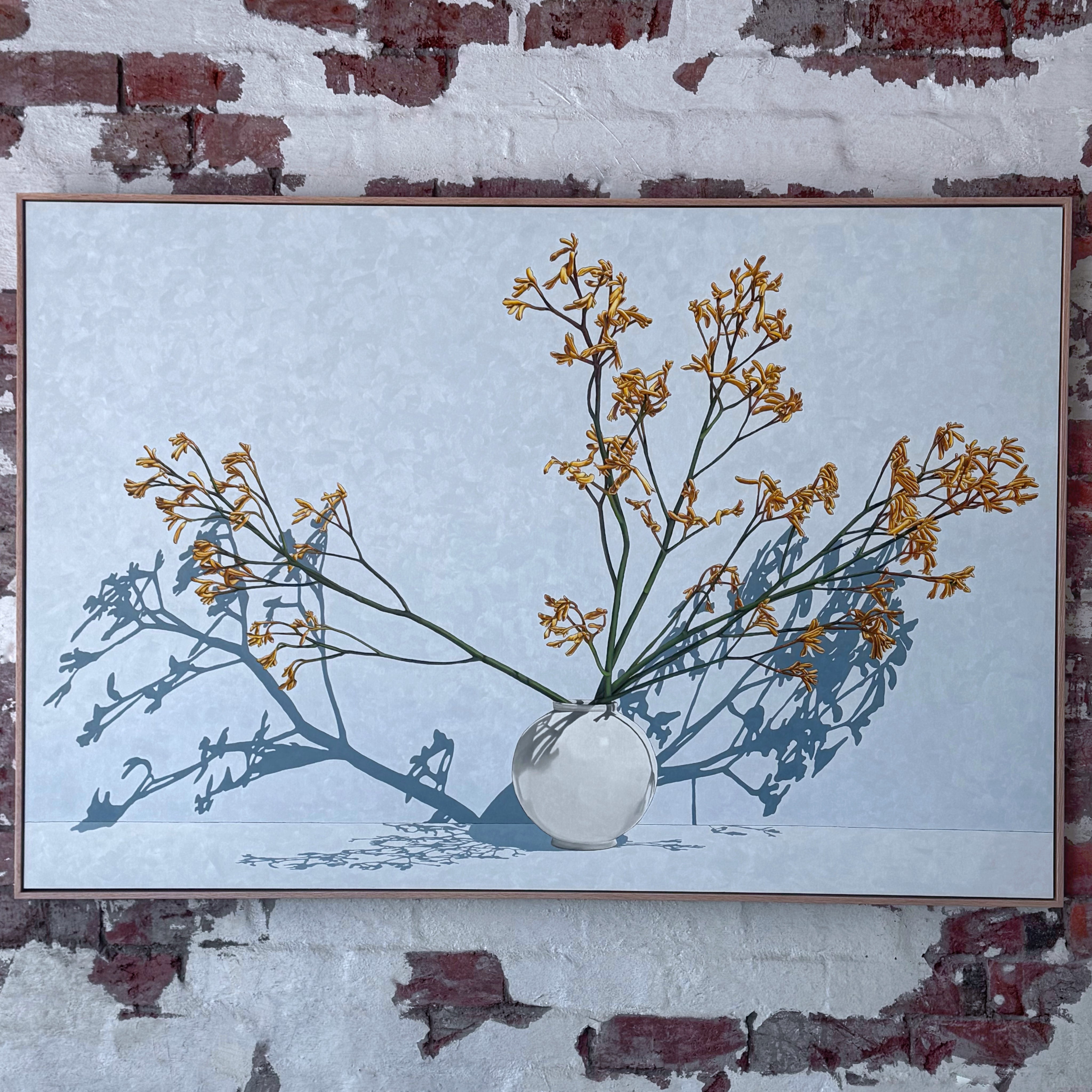 Sarah Hassett - Kangaroo Paw On Blue– FORMAN ART & FRAMING